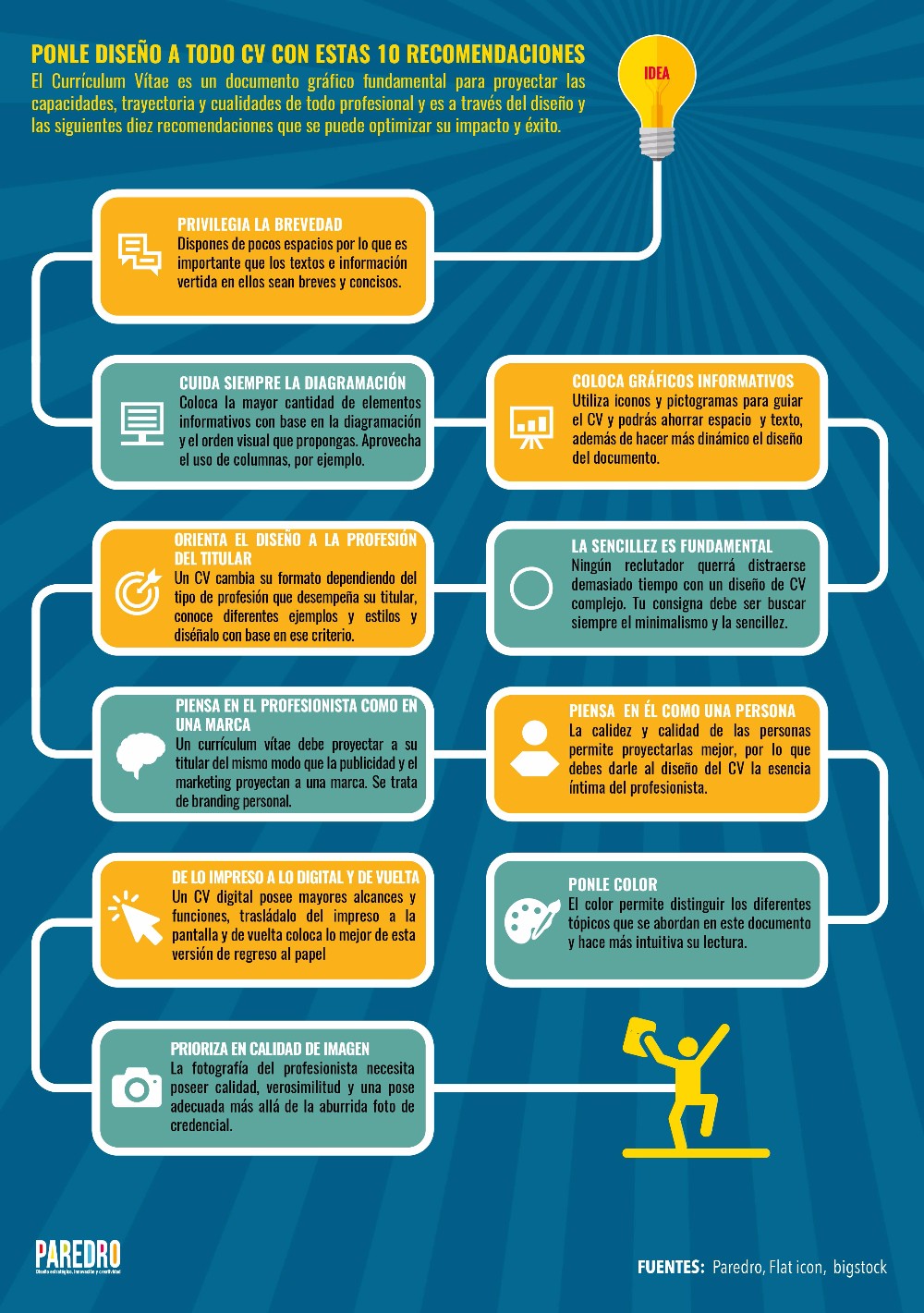 Modelo De Curriculo Infografico 360x681